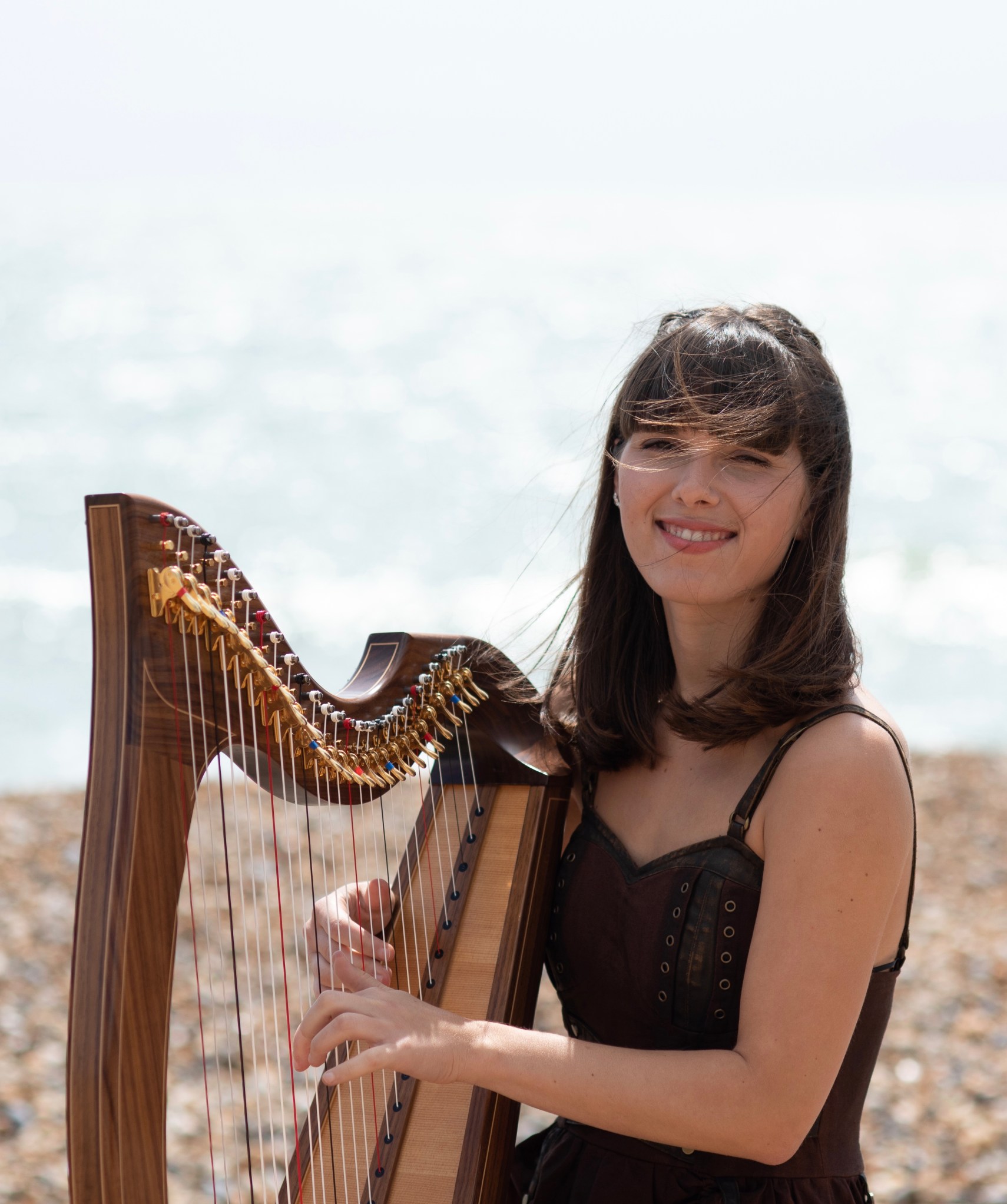 Blog – 2 of Harps